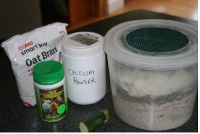 Microbats At Long Grass | WingedHearts.org